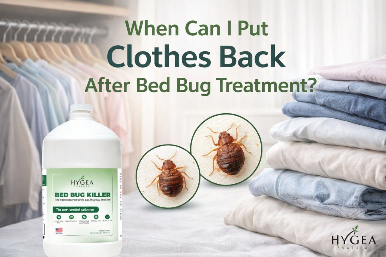 When Can I Put Clothes Back After Bed Bug Treatment? – Hygea Natural