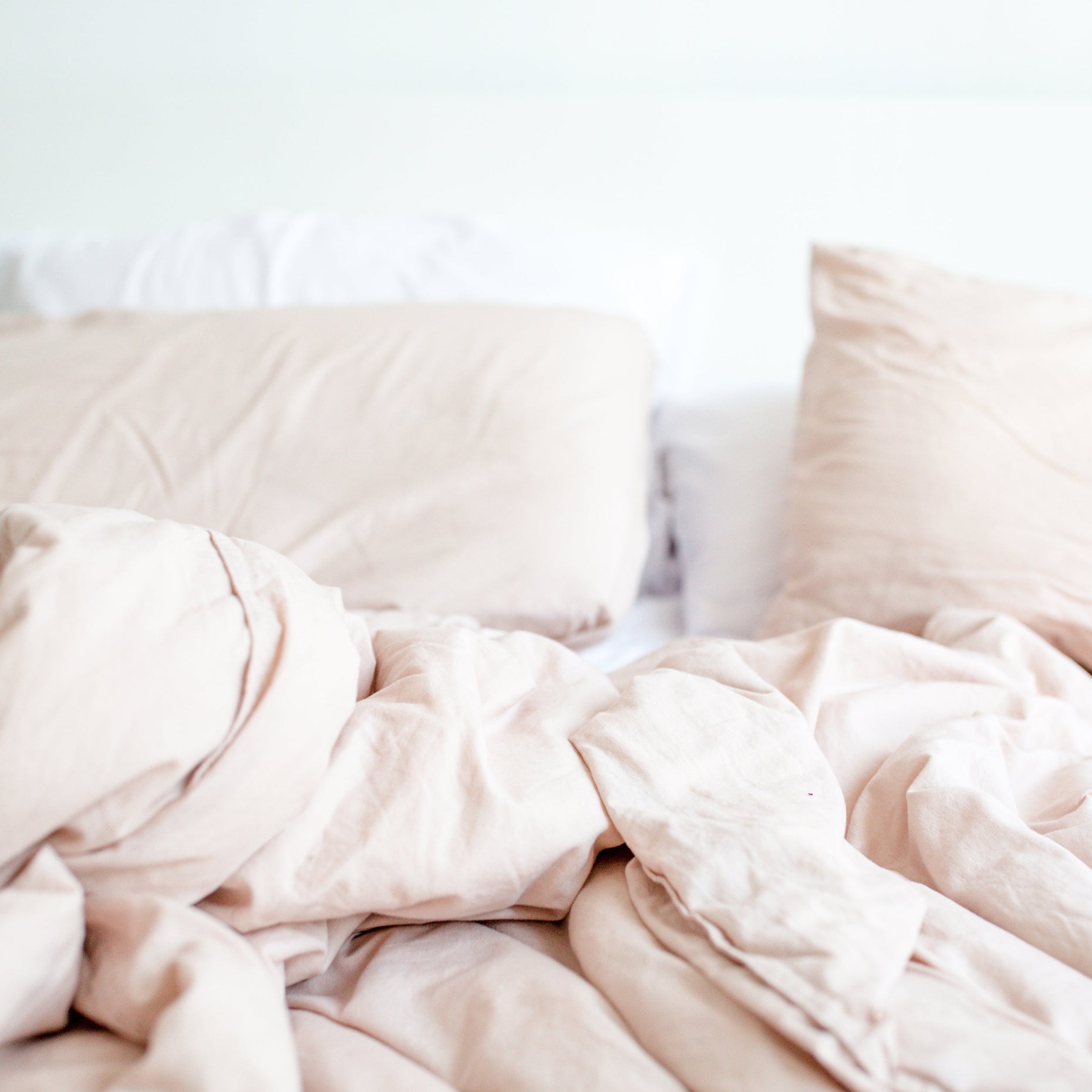 Buy Non-Toxic Pest Control, Bed Bug Spray & Mattress Protectors